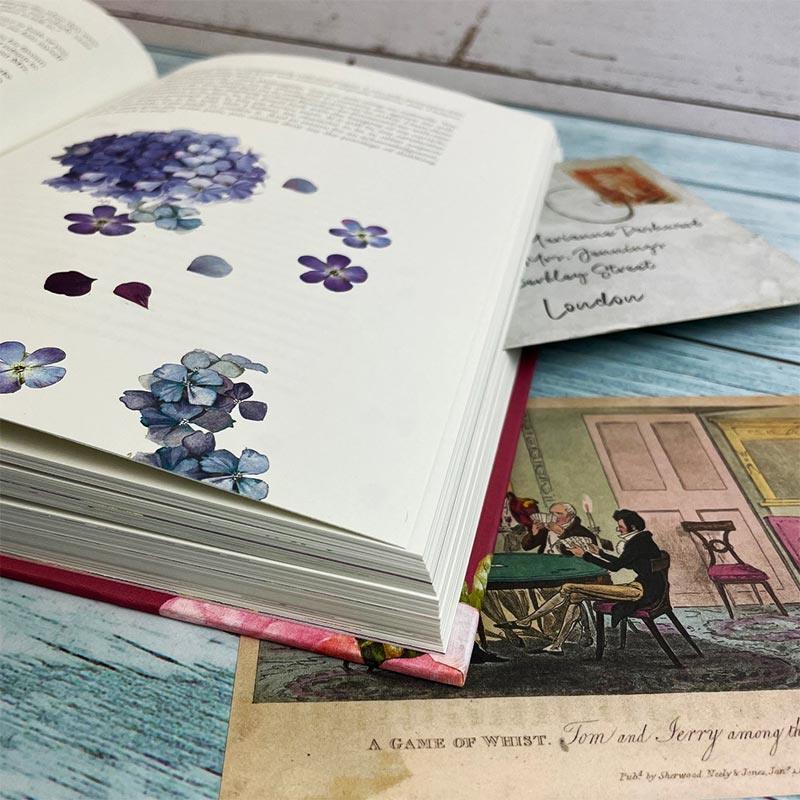 Jane Austen's Sense & Sensibility - Illustrated Hardback Edition ...